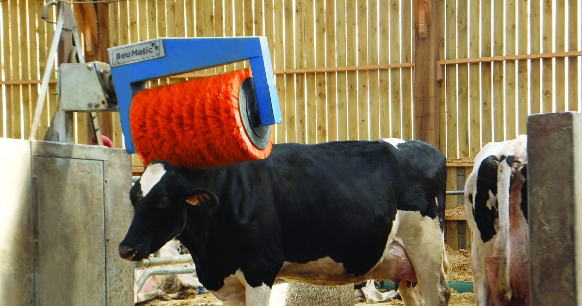 BouMatic | Milking gently, quickly and completely.