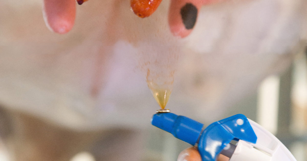 BouMatic | Udder Star Spray