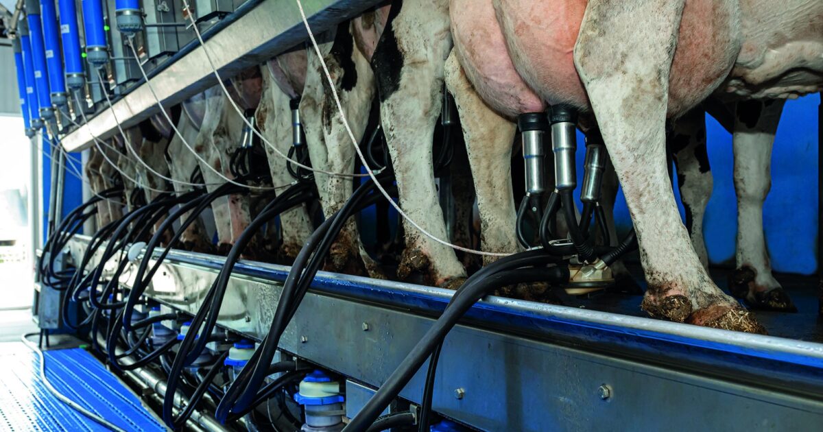 BouMatic | Milking gently, quickly and completely.