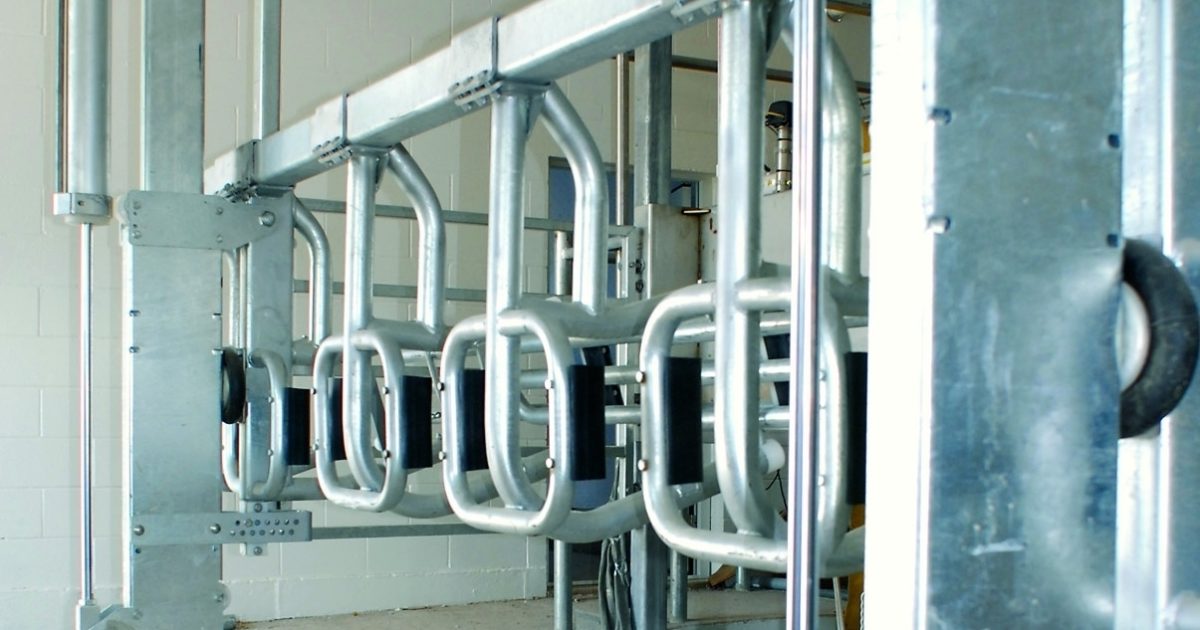 Simply Superior Parallel Stall with Best-In-Class Cow… | BouMatic