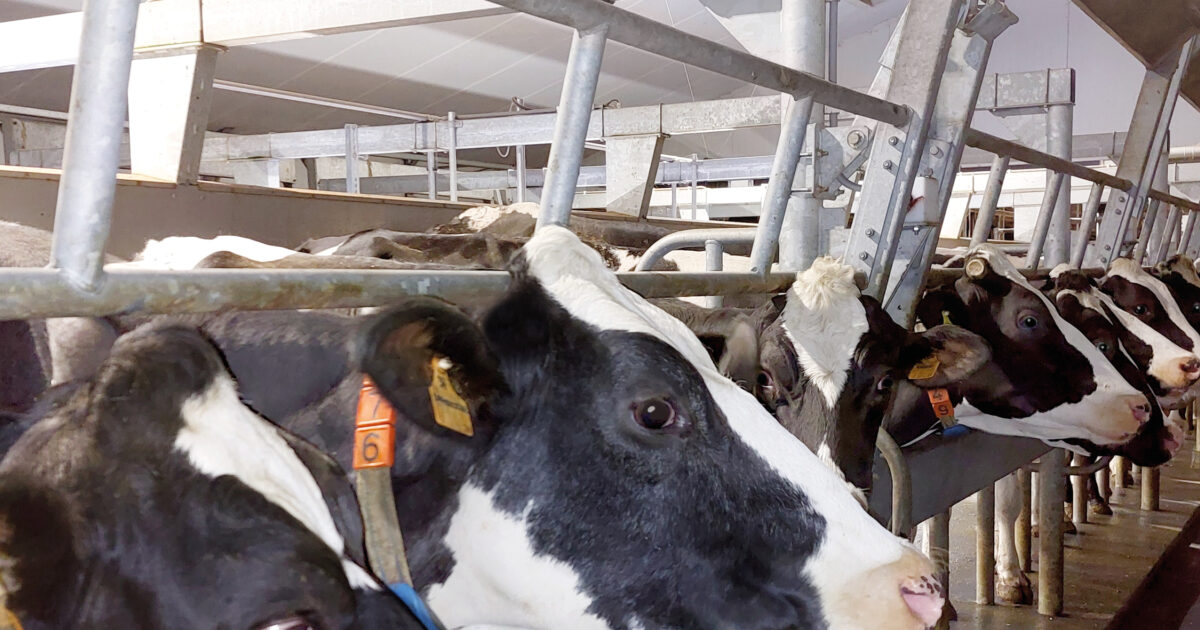 BouMatic | XpressWay 3.0