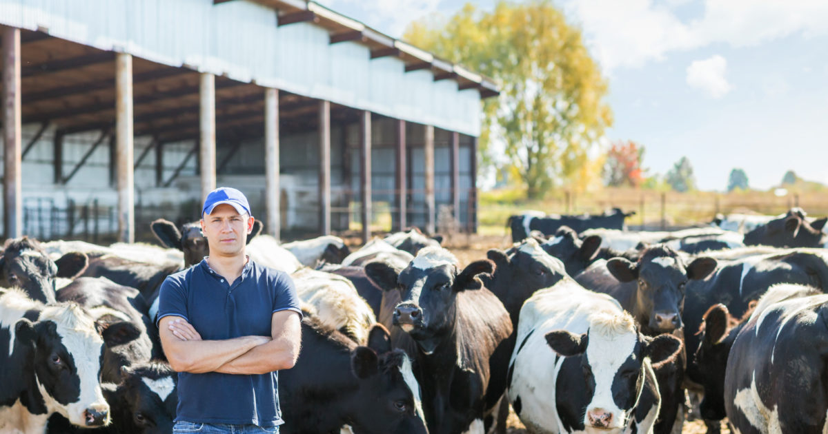 BouMatic | BouMatic ensures the continuity of its services despite…