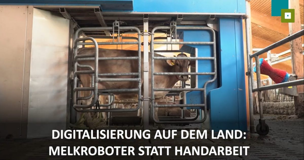 BouMatic | Arnold Dairy Farm presentation - Scheiddeg (Bayern)