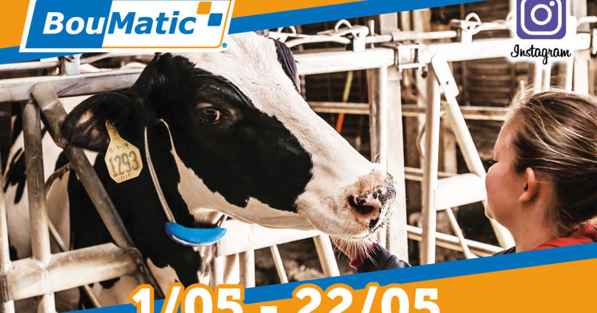 BouMatic | BouMatic Instagram Contest