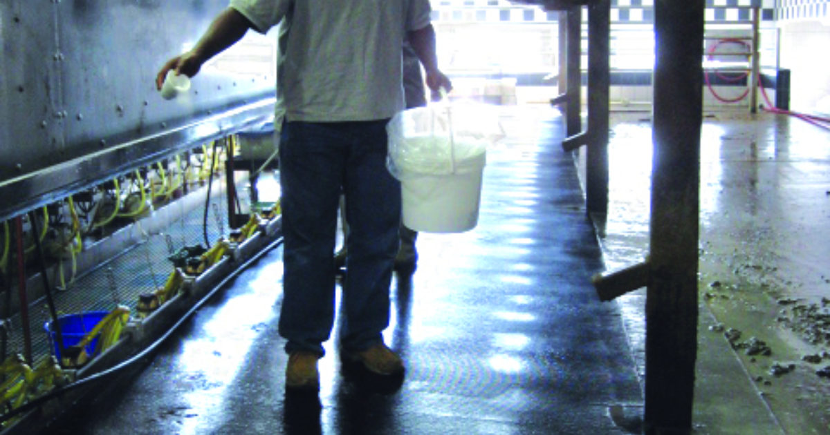 GRANULAR FLOOR TREATMENT | BouMatic