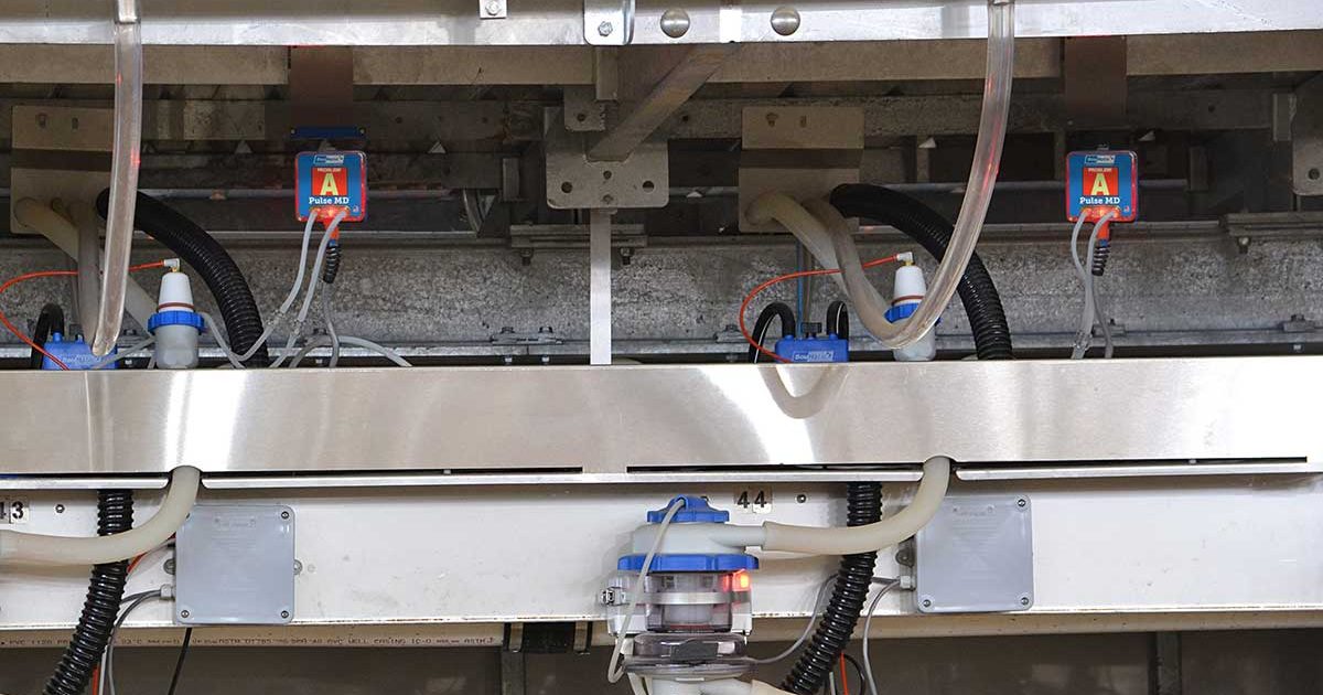 Pulsation Monitor - parlor equipment monitor - Pulsation | BouMatic