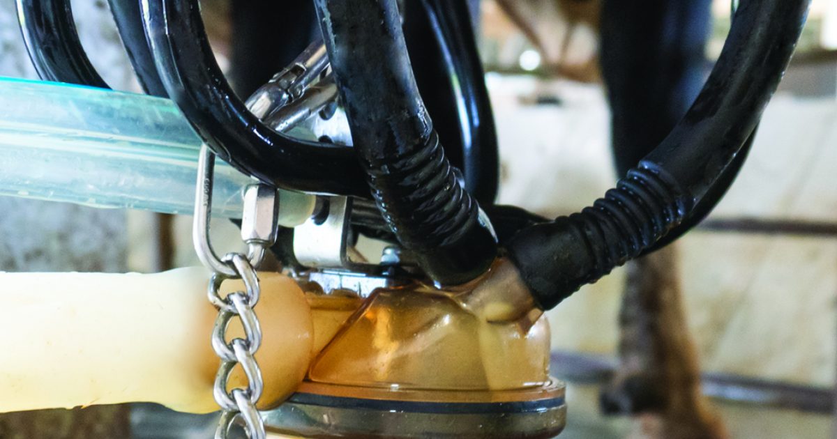 Introducing the Flo-Star Xtreme Claw | BouMatic