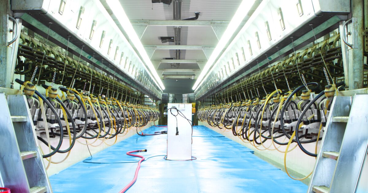 BouMatic | Anti-Fatigue Parlor Mats