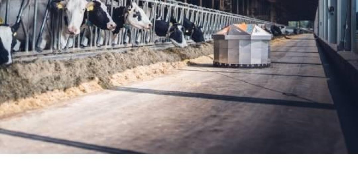 BouMatic | BouMatic Ranger