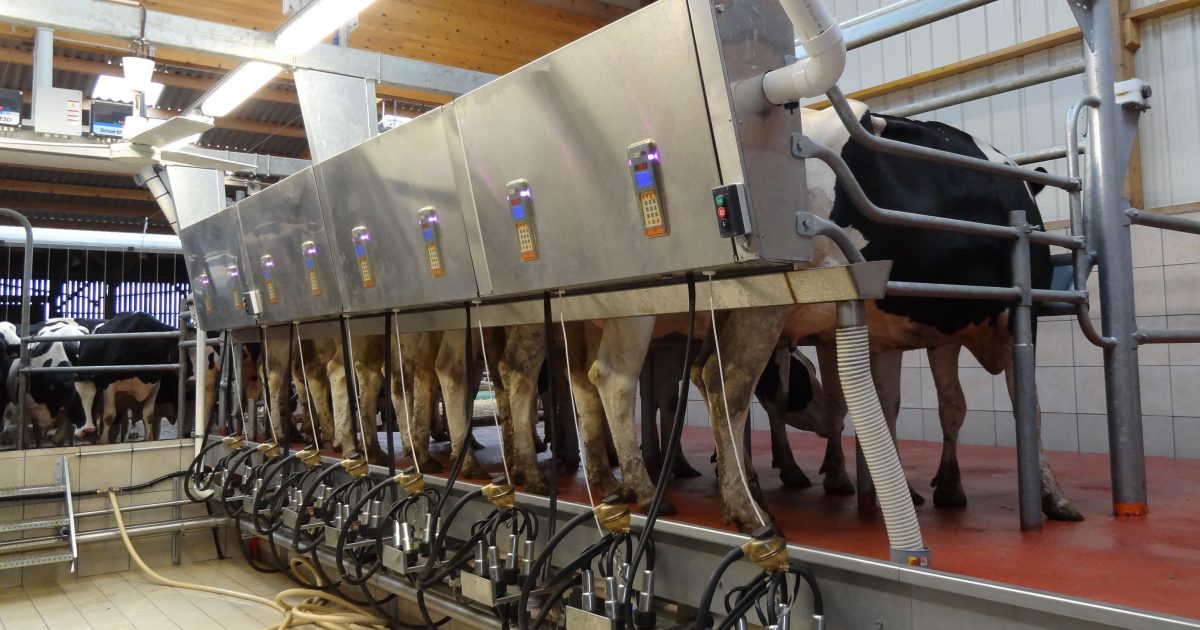 BouMatic | Formula 1