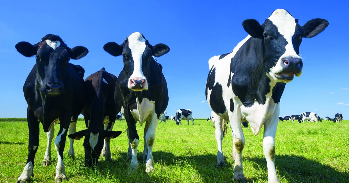 BouMatic | Earth Day is Everyday with BouMatic