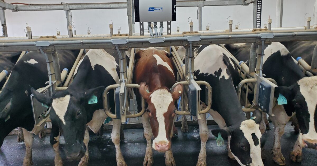 BouMatic | Per-Place IDentification (PPID)